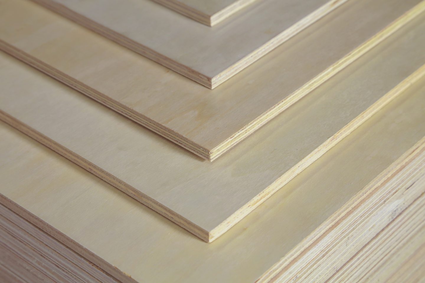 Poplar Plywood